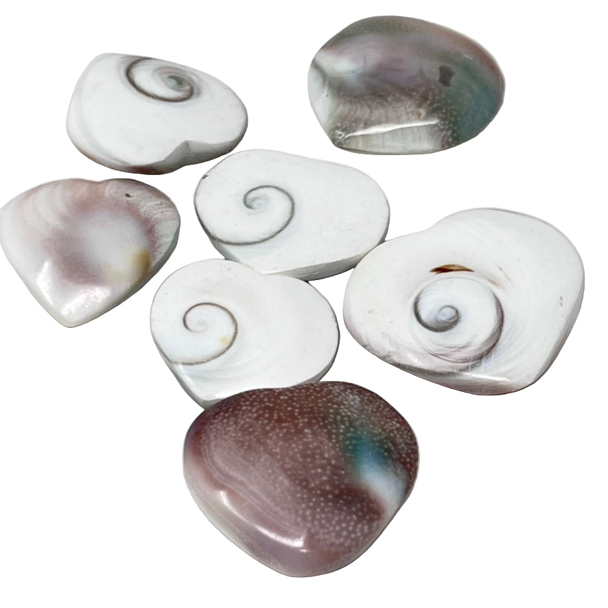 Shiva Shell Hearts – Green Spirit Rising